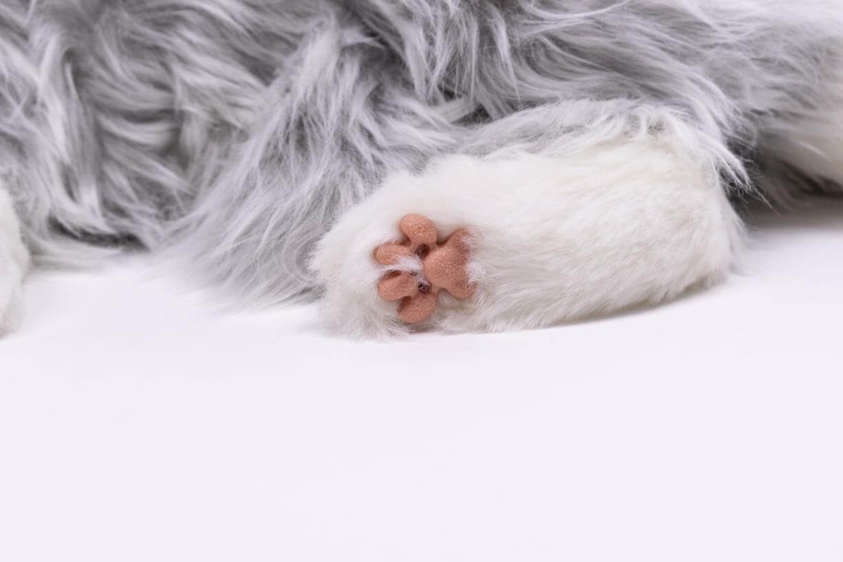 Interactieve Robot Kat voor Dementie - Grijs - Hulpmiddelwereld