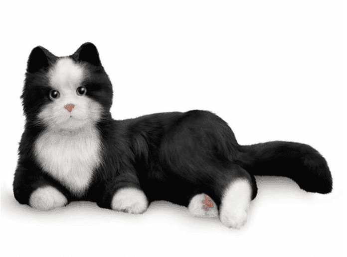 Een robotkat: Hét gezelschapsmaatje voor ouderen - Hulpmiddelwereld