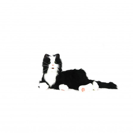 Interactieve Robot Kat voor Ouderen - Zwart | Hulpmiddelwereld