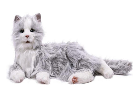 Een robotkat: Hét gezelschapsmaatje voor ouderen - Hulpmiddelwereld